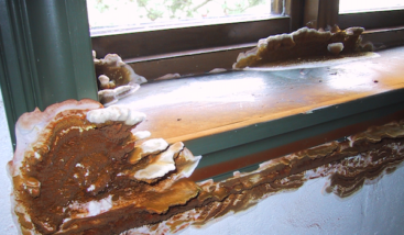 Protox – Professional Protection Process