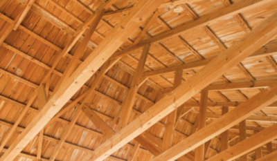 Protox – Professional Protection Process