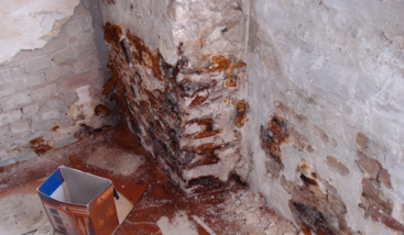 Protox – Professional Protection Process